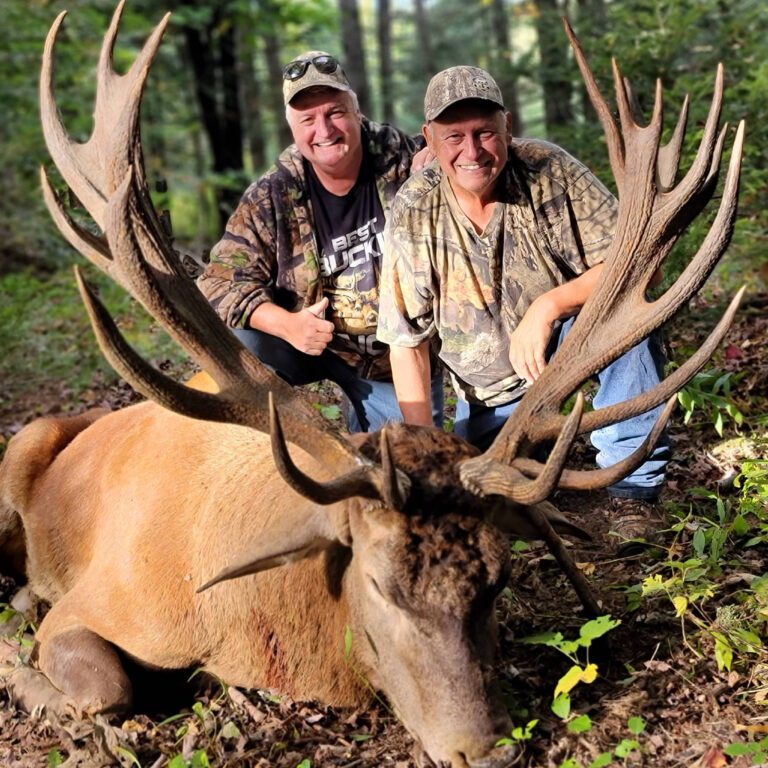 Chasse Wapiti & Cerf Rouge - Jackson Ranch Elk Outfitters