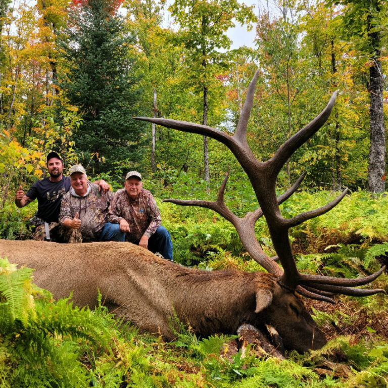 Elk & Red Deer Hunting - Jackson Ranch Elk Outfitters - Canada